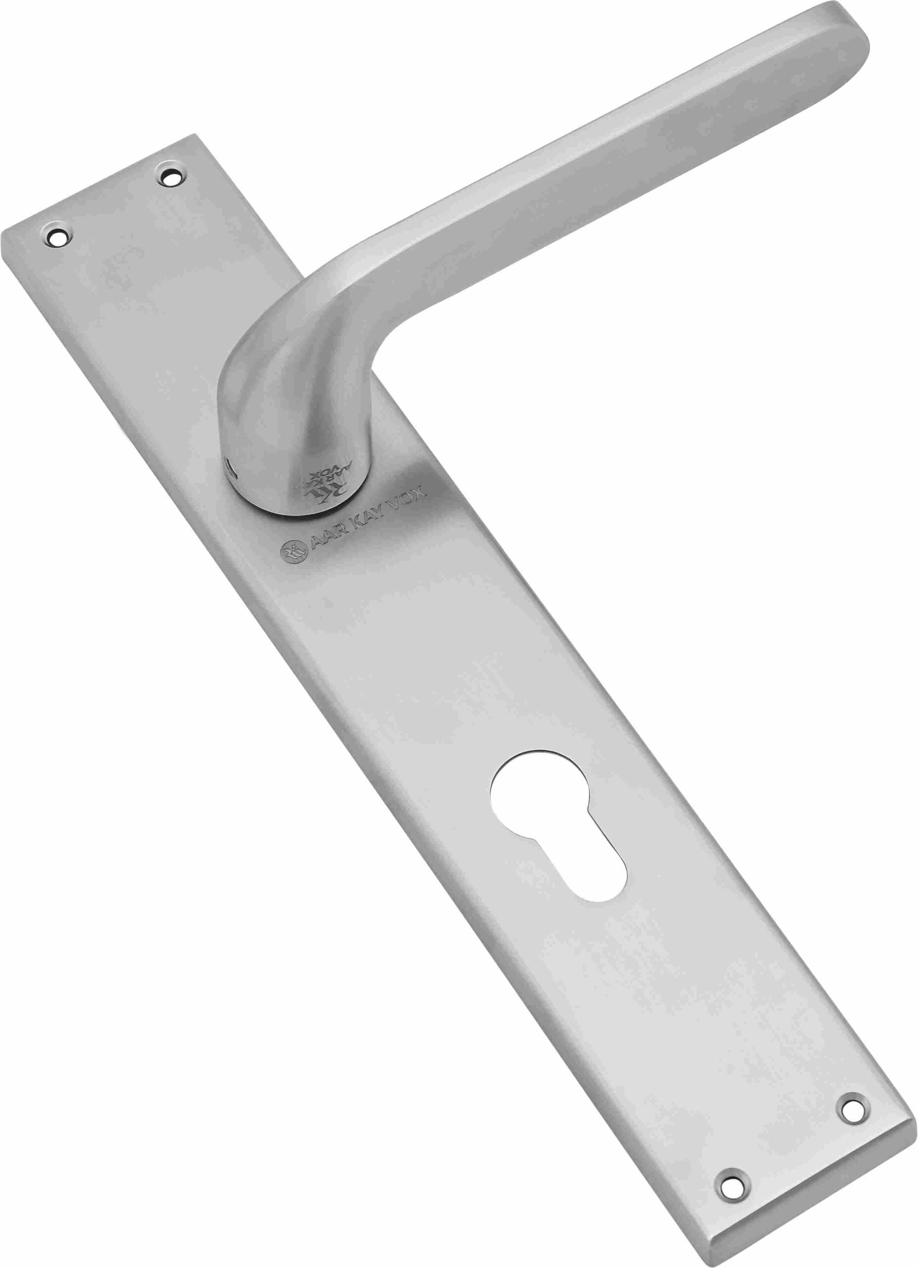 Brass Mortise Locks & Rose Handles - Homestyle
