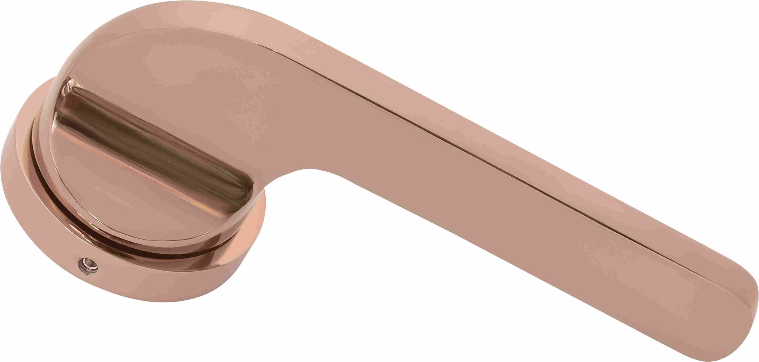 Brass Mortise Locks & Rose Handles - Homestyle
