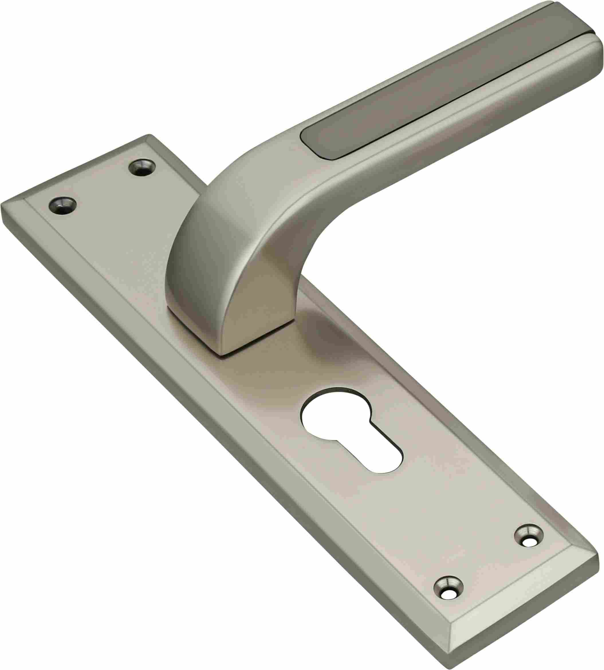 Brass Mortise Locks & Rose Handles - Homestyle