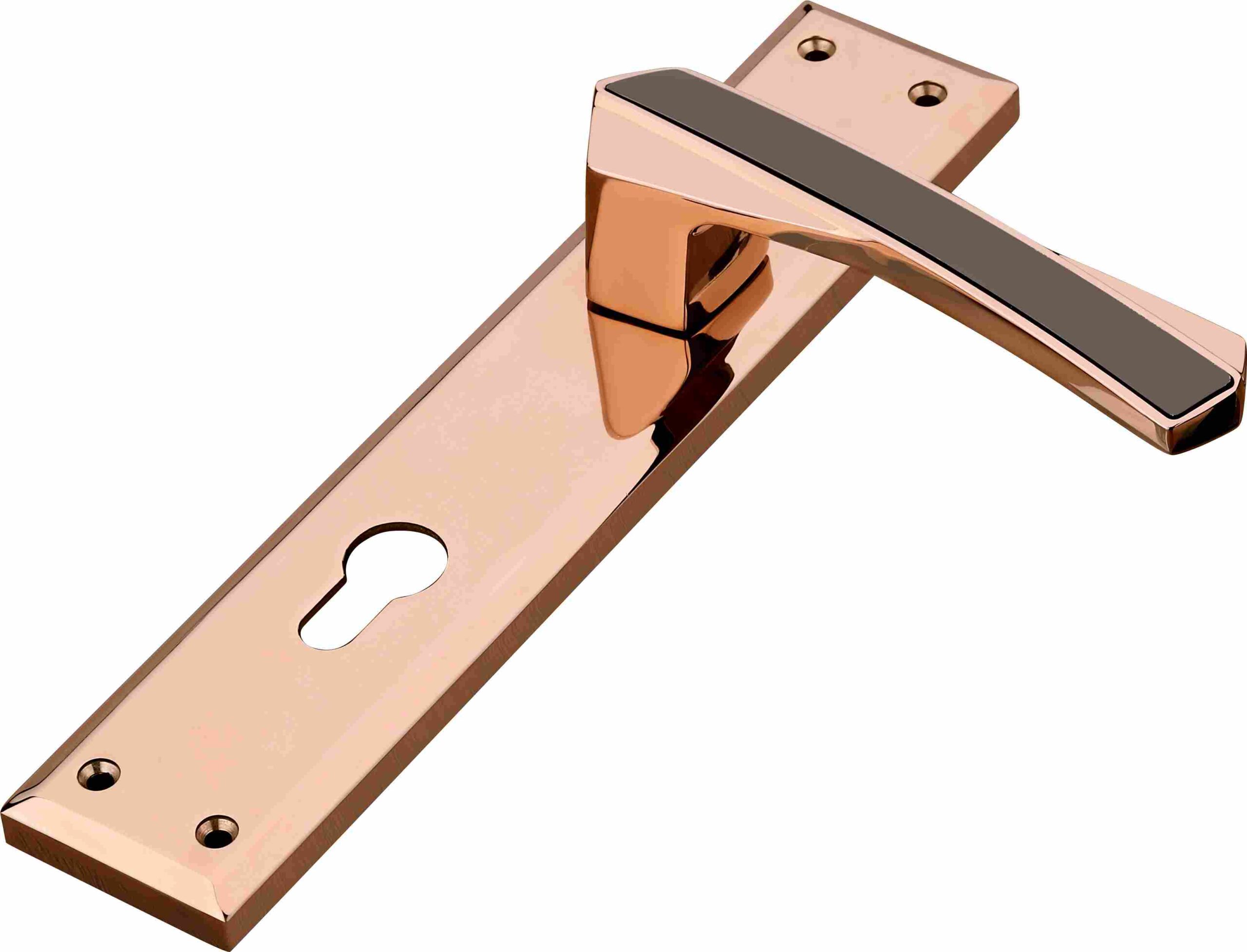 Brass Mortise Locks & Rose Handles - Homestyle