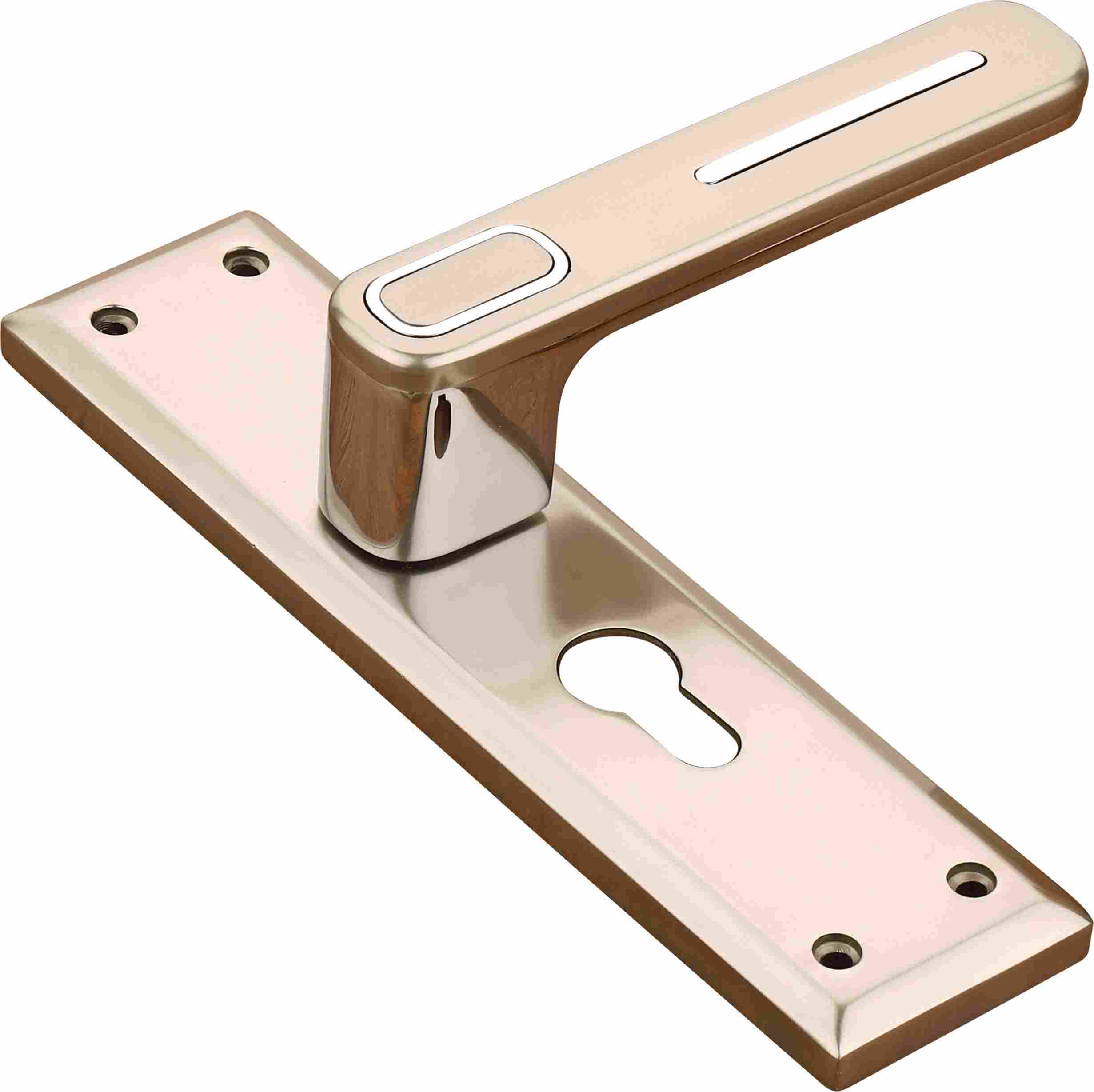 Brass Mortise Locks & Rose Handles - Homestyle